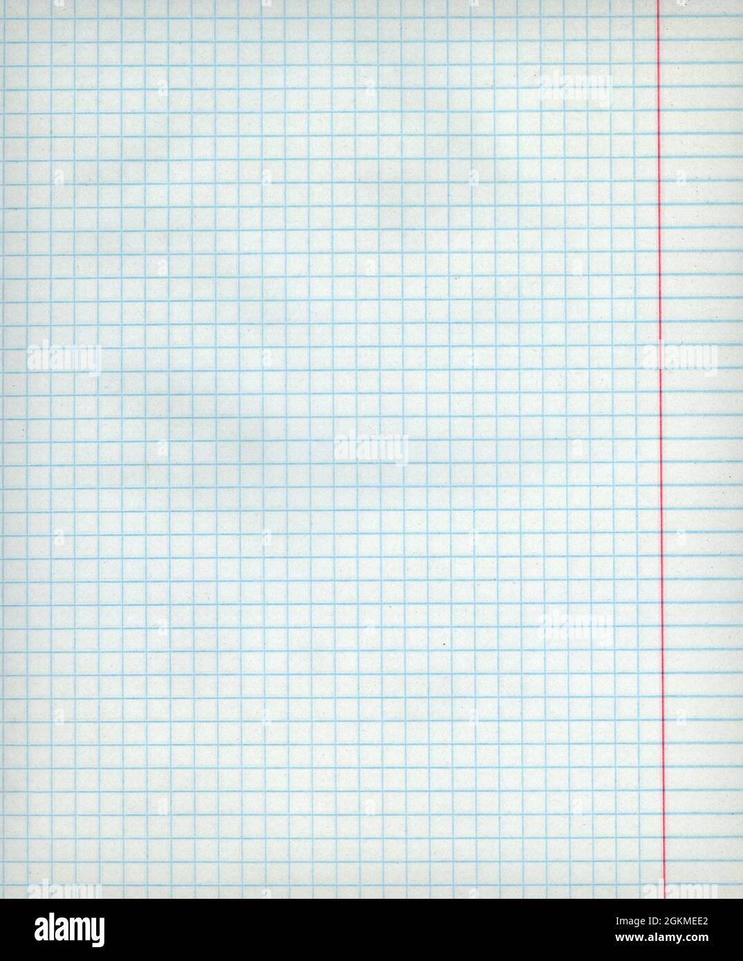 Detailed blank math paper sheet texture with margins Stock Photo - Alamy