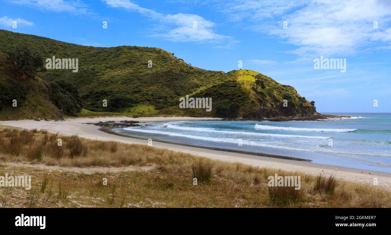 A panoramic view of the sandy beach at Tapotupotu Bay, Northland, New ...