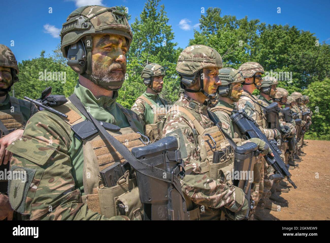 Slovenian soldiers stand in formation after the exercise Immediate ...