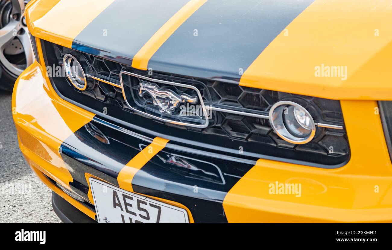 Close up of the front end of a classic Ford Mustange muscle car Stock ...