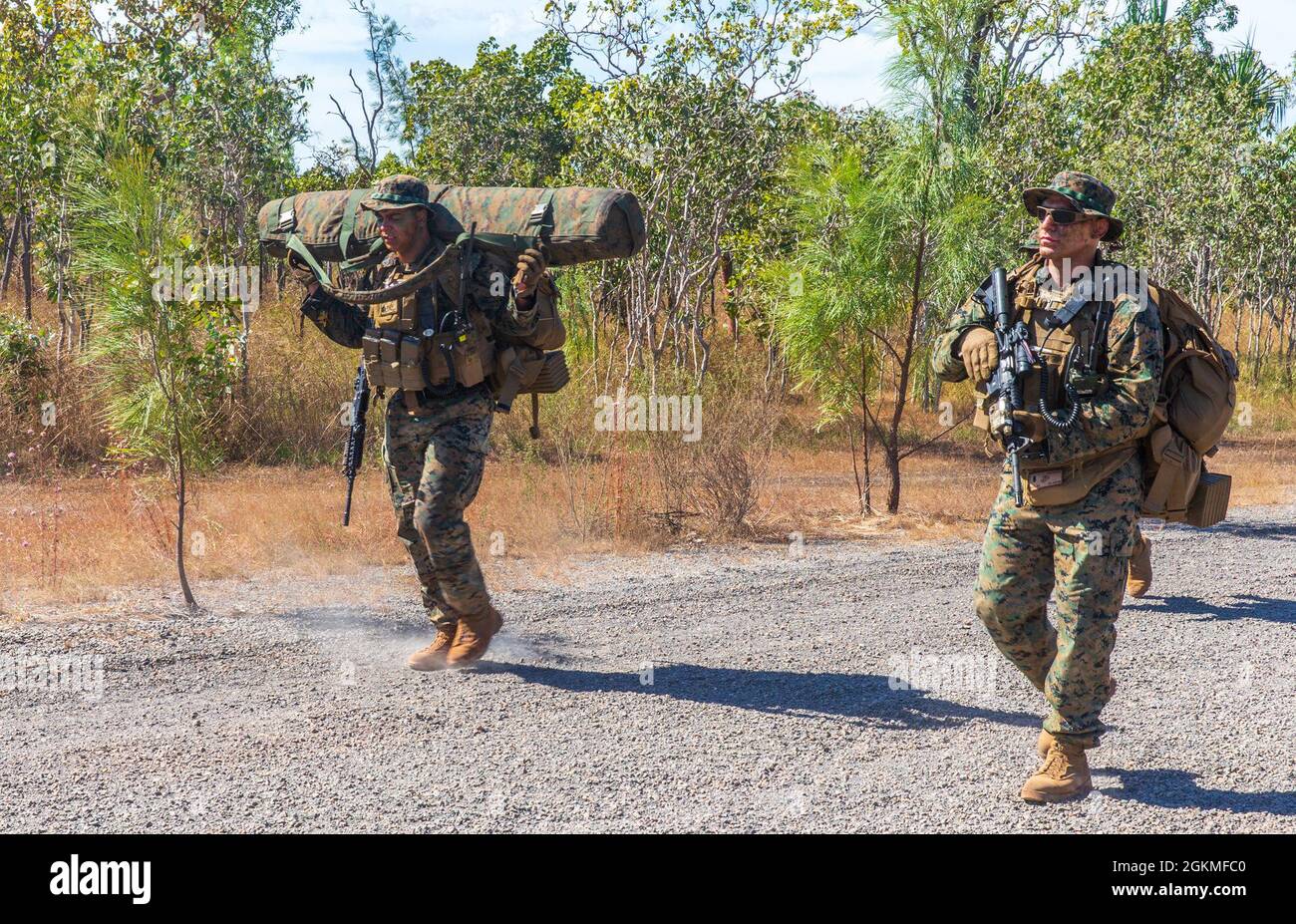 A section leader in alpha hi-res stock photography and images - Alamy