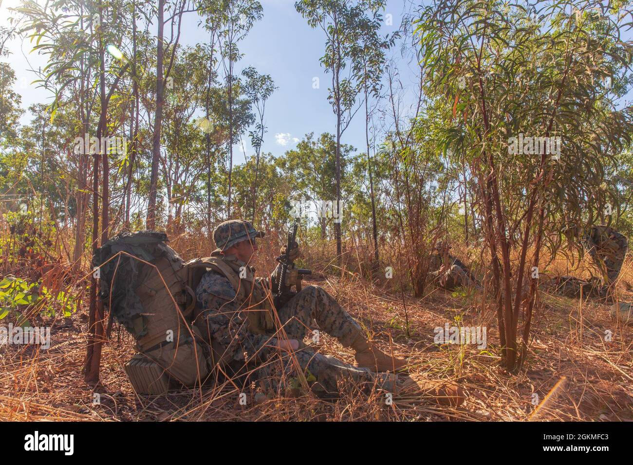 U.S. Marine Corps Lance Cpl. Cory Osterloh, a stinger gunner with Alpha ...