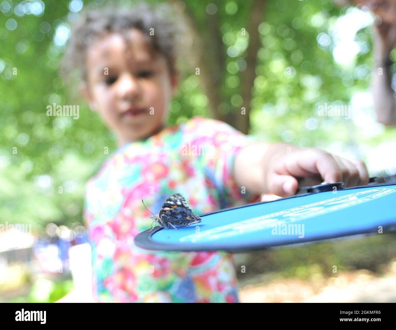 Natalie Booker, 5, balances a butterfly on a fan during the Butterfly ...