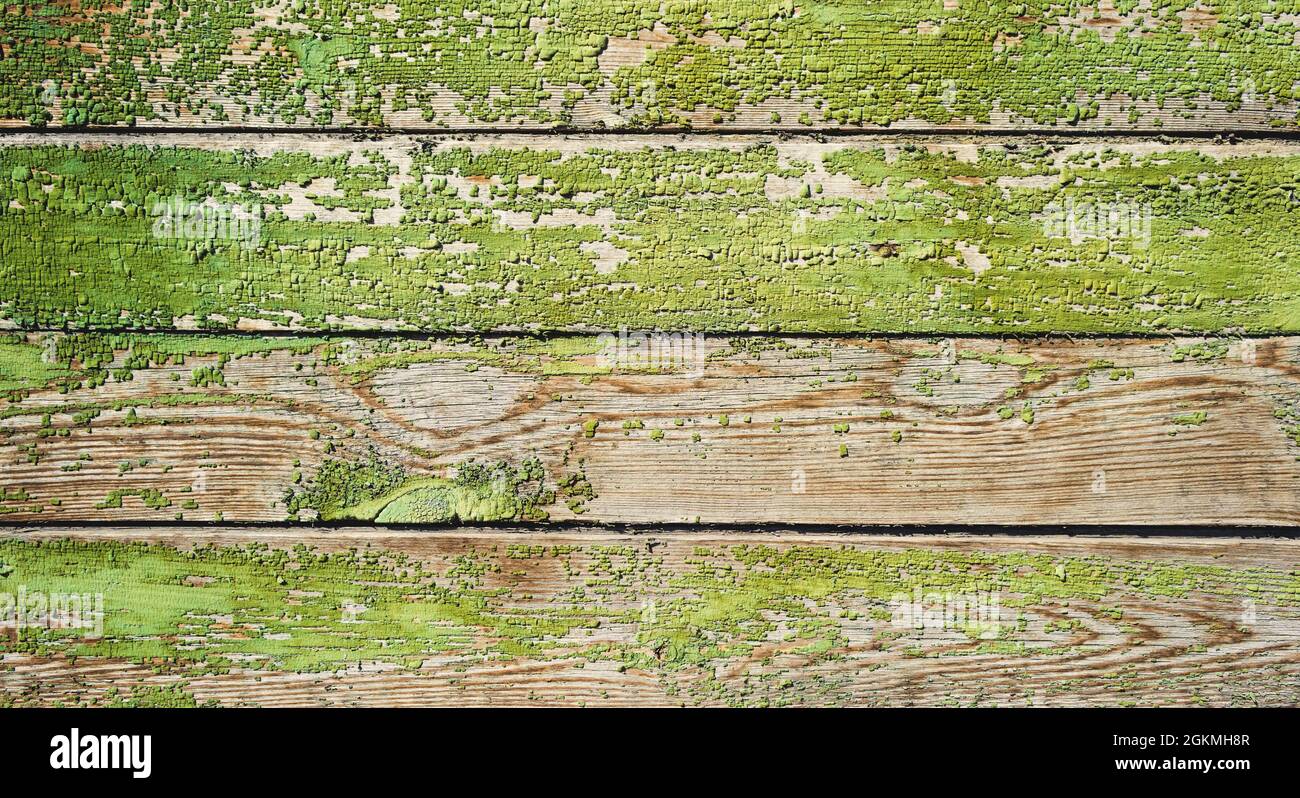 Green old painted cracked wooden door texture as background. Closeup ...