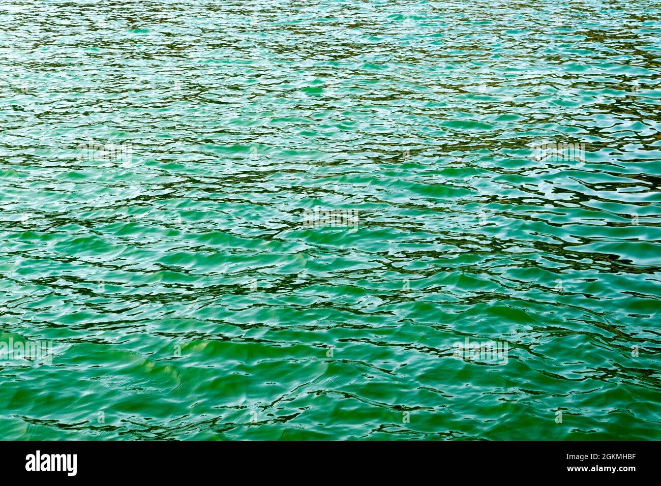 Underwater sea background. Blue water. Tropical sea clean water Stock ...