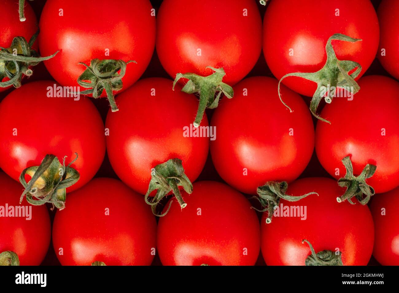 Background image of lying rows of red ripe cherry tomatoes. Top view ...