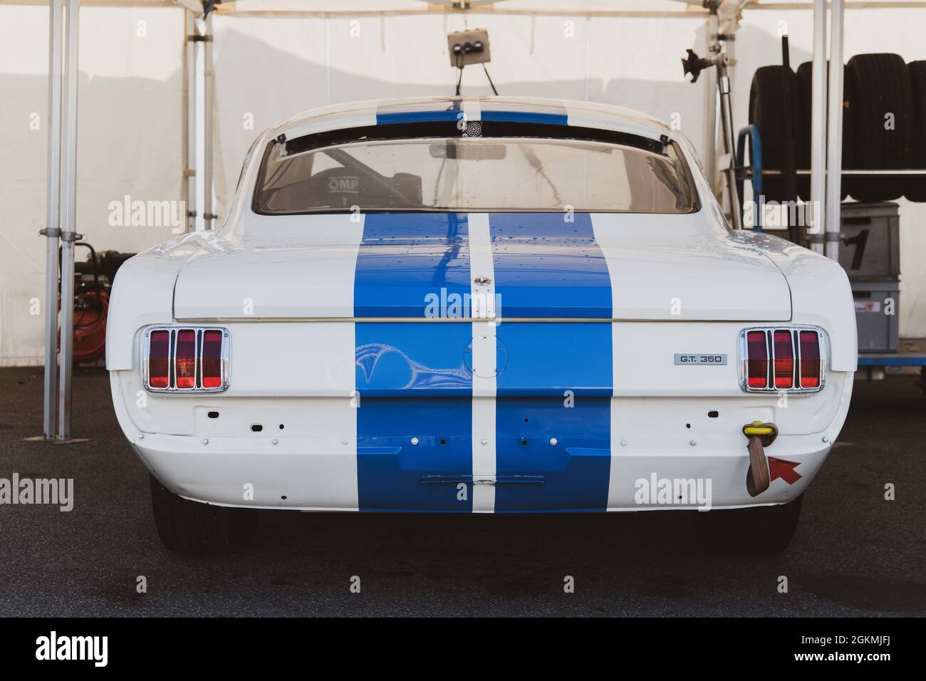 Shelby Mustang Rear View