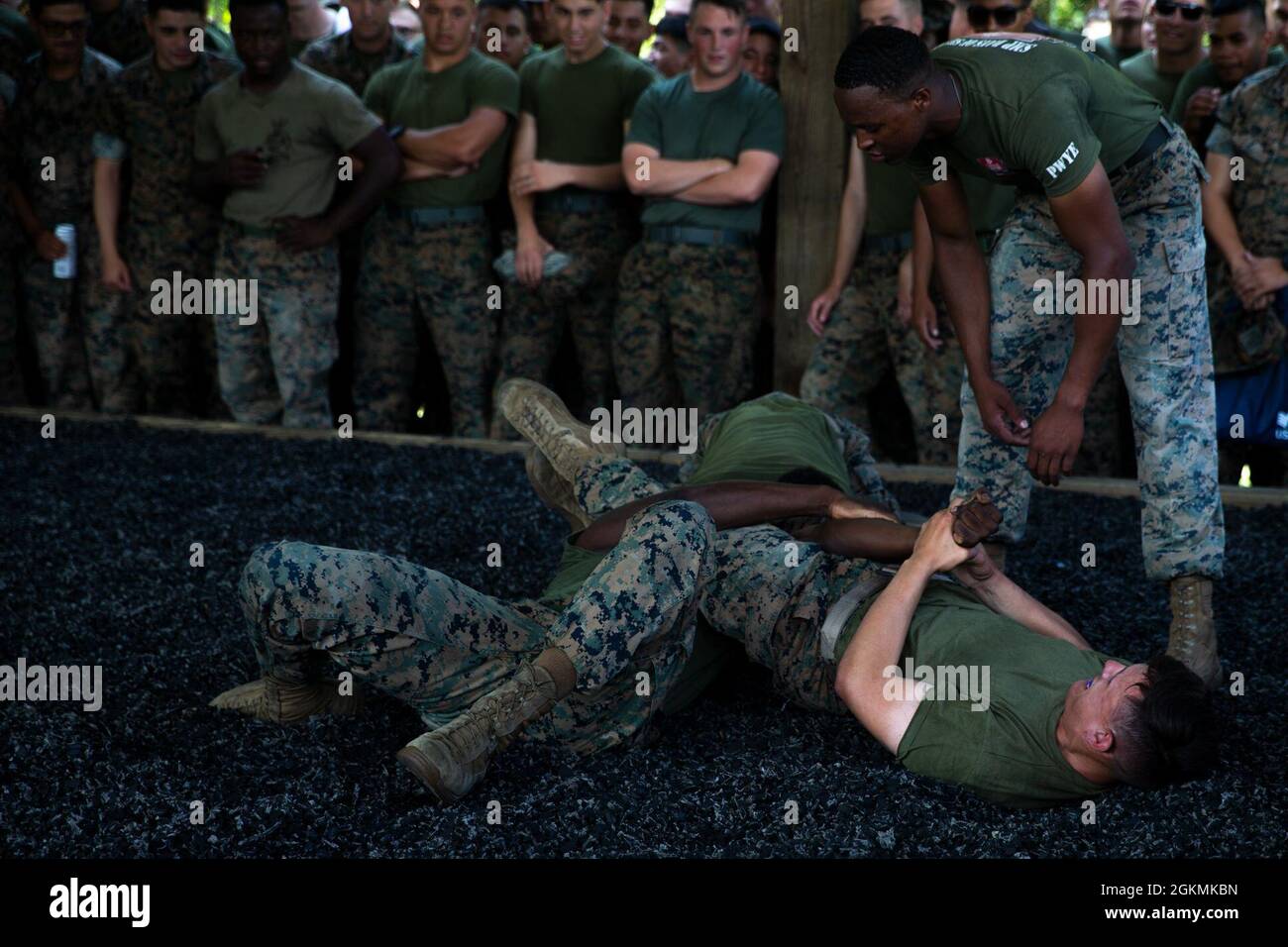U.S. Marines with 10th Marine Regiment (10th Marines), 2d Marine ...