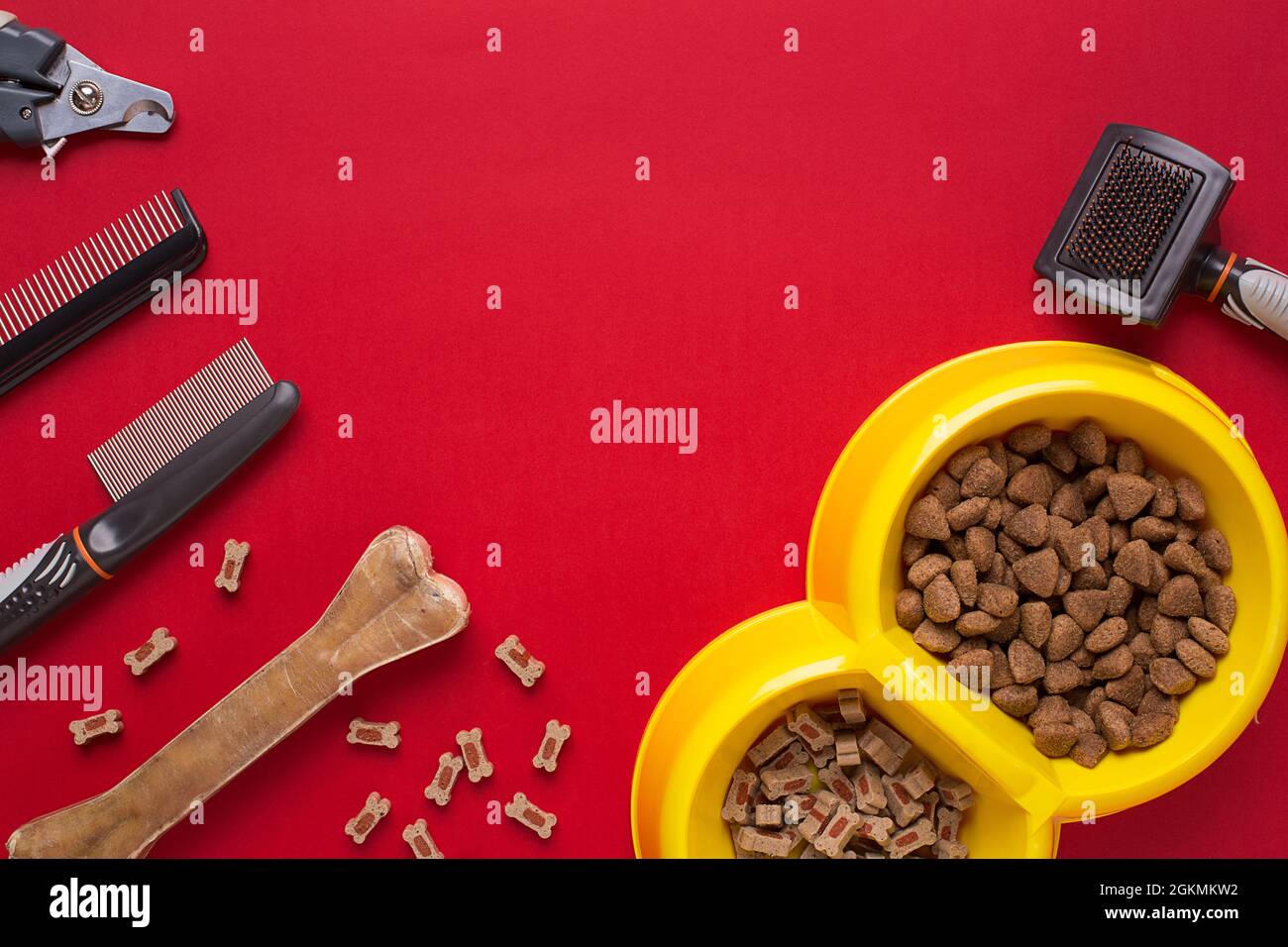 Pet accessories on red background. Top view Stock Photo - Alamy