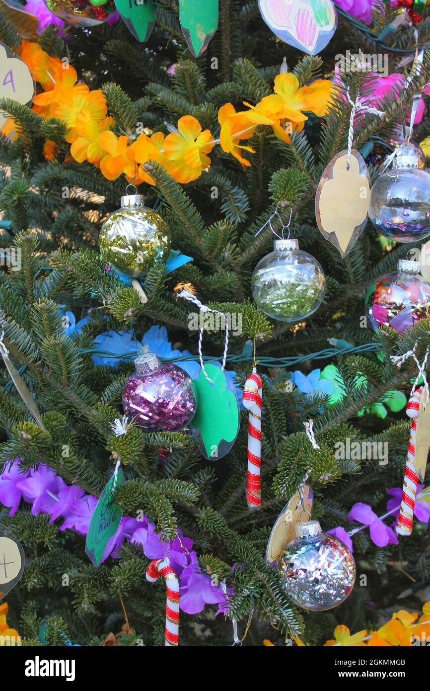 Christmas tree decorations hanging on a pine tree Stock Photo - Alamy