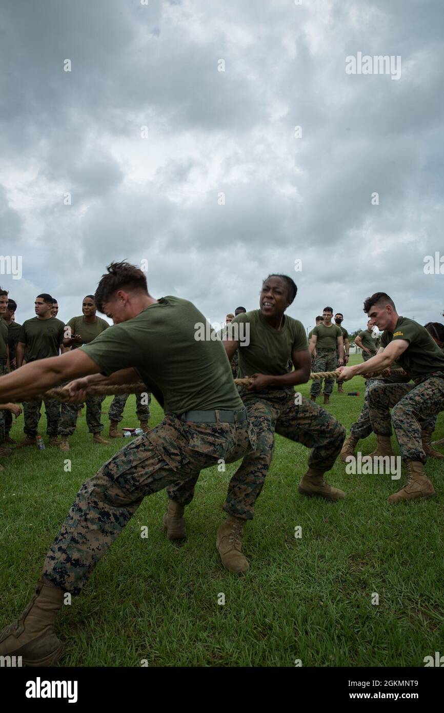 U.S. Marines with Combat Logistics Regiment 3 (CLR), 3d Marine ...