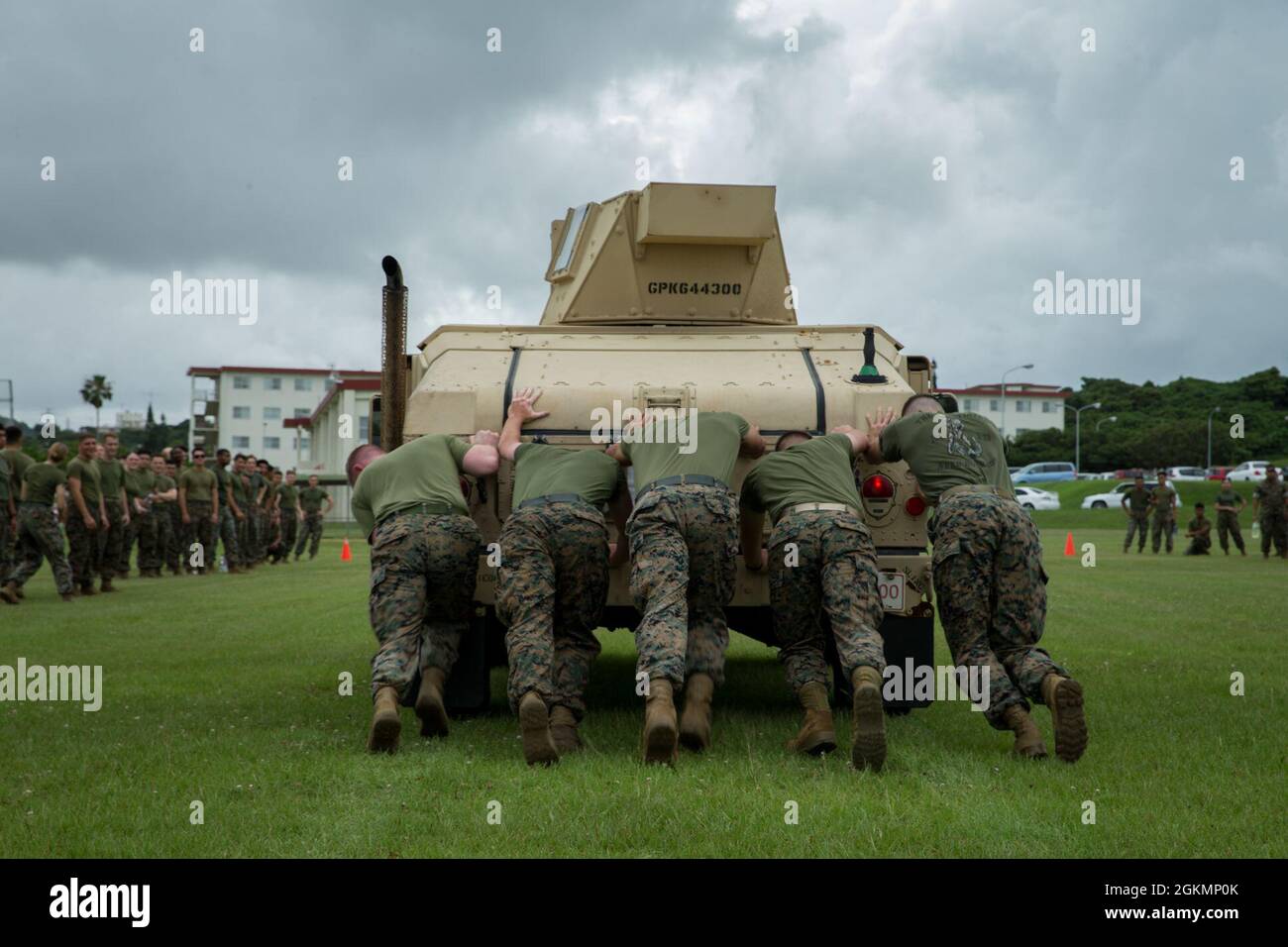 U.S. Marines with Combat Logistics Regiment 3 (CLR), 3d Marine ...
