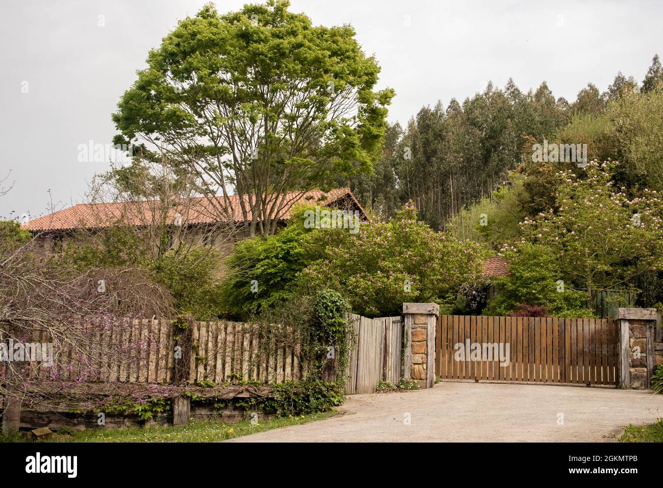 Rural house surrounded by fresh green trees Stock Photo - Alamy