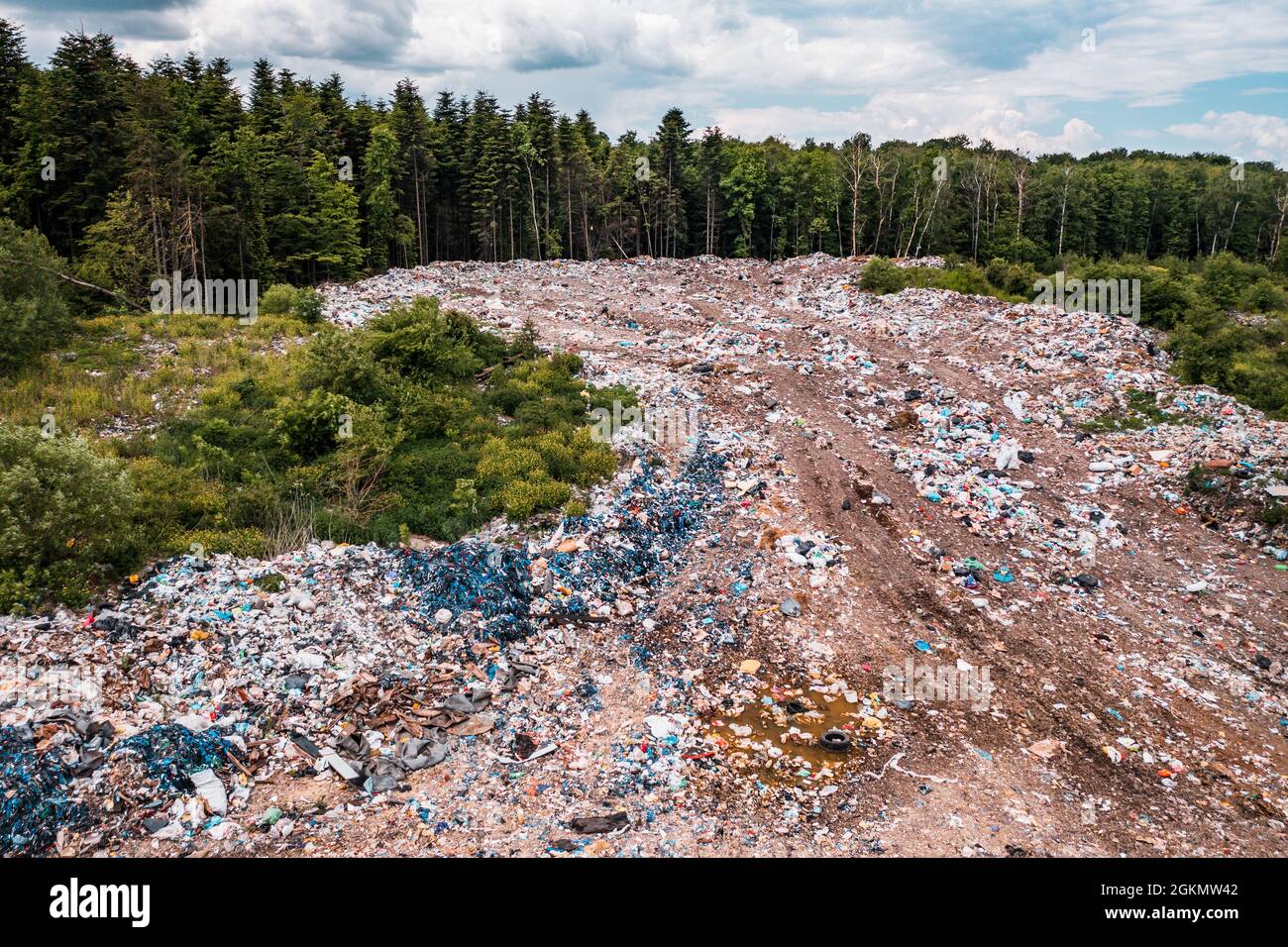 Destruction of forests and ecological system by garbage removal in ...