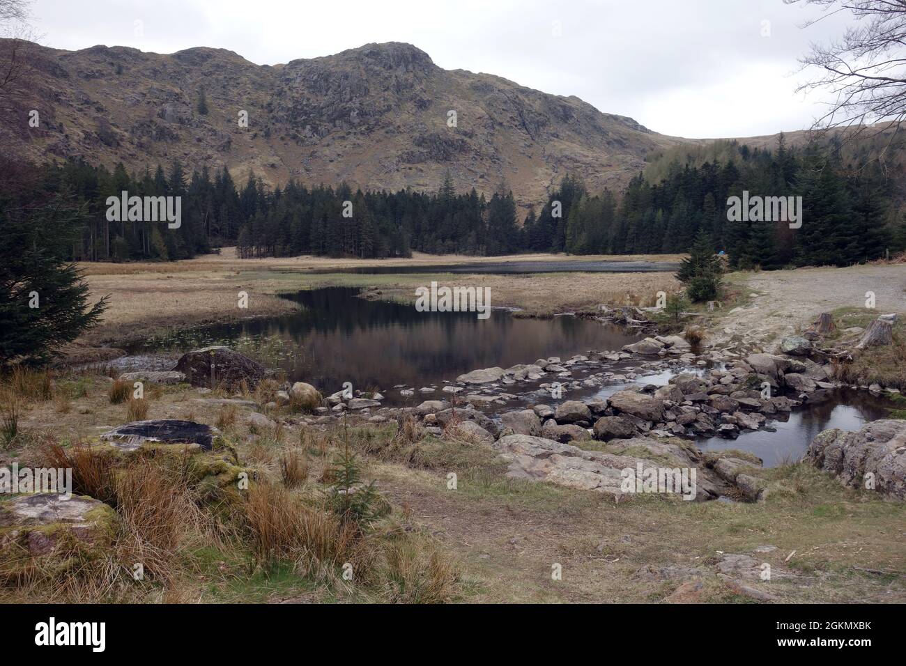 Stepping Stones on the Outflow of Harrop Tarn near Dobgill Car Park in ...