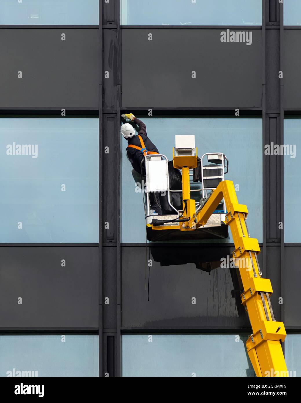 Male window cleaner cleaning glass windows on modern building high in ...