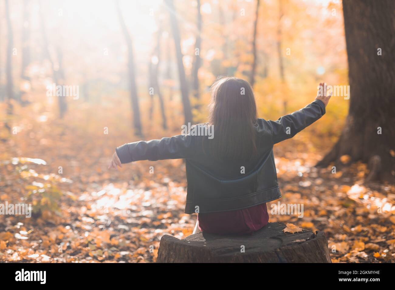 Kid girl toddler playing in autumn park while sitting on a stump, rear ...