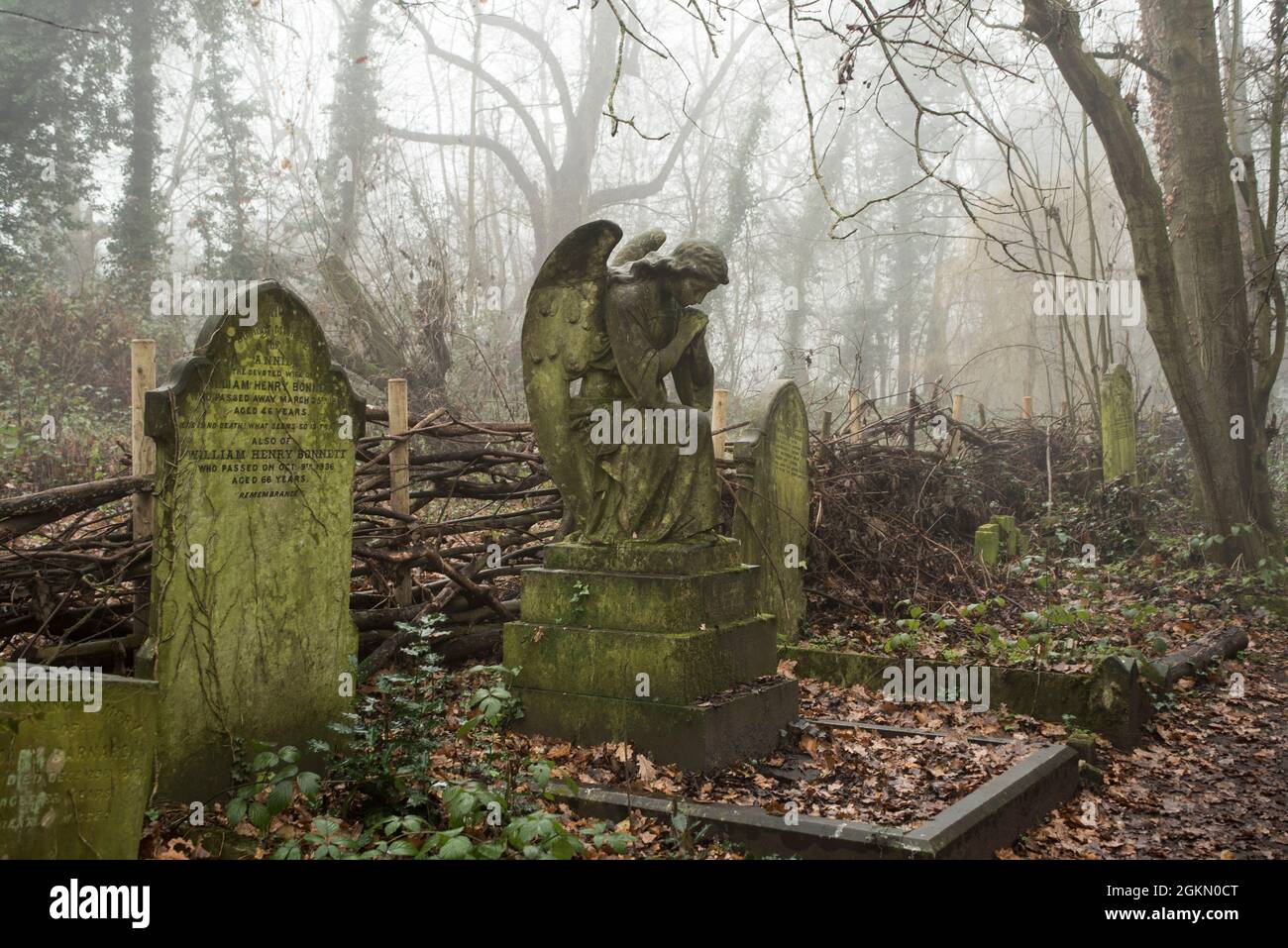 A praying angel memorial amongst gravestones / tombstones in an ...