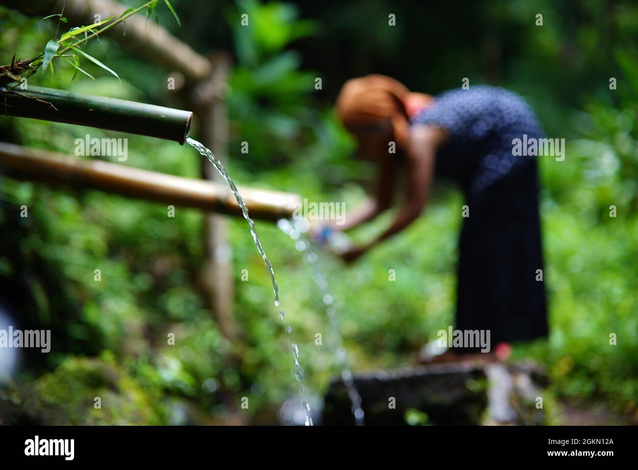 Watering place in Dak Lak province central Vietnam Stock Photo - Alamy