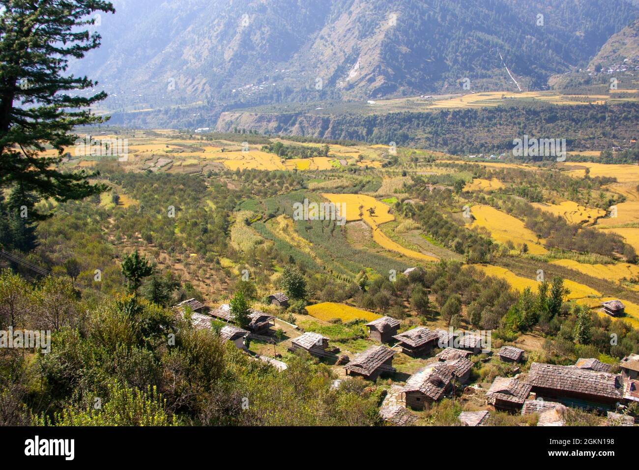 Manali Village and area landscape, Kullu Valley Himachal Pradesh, India ...