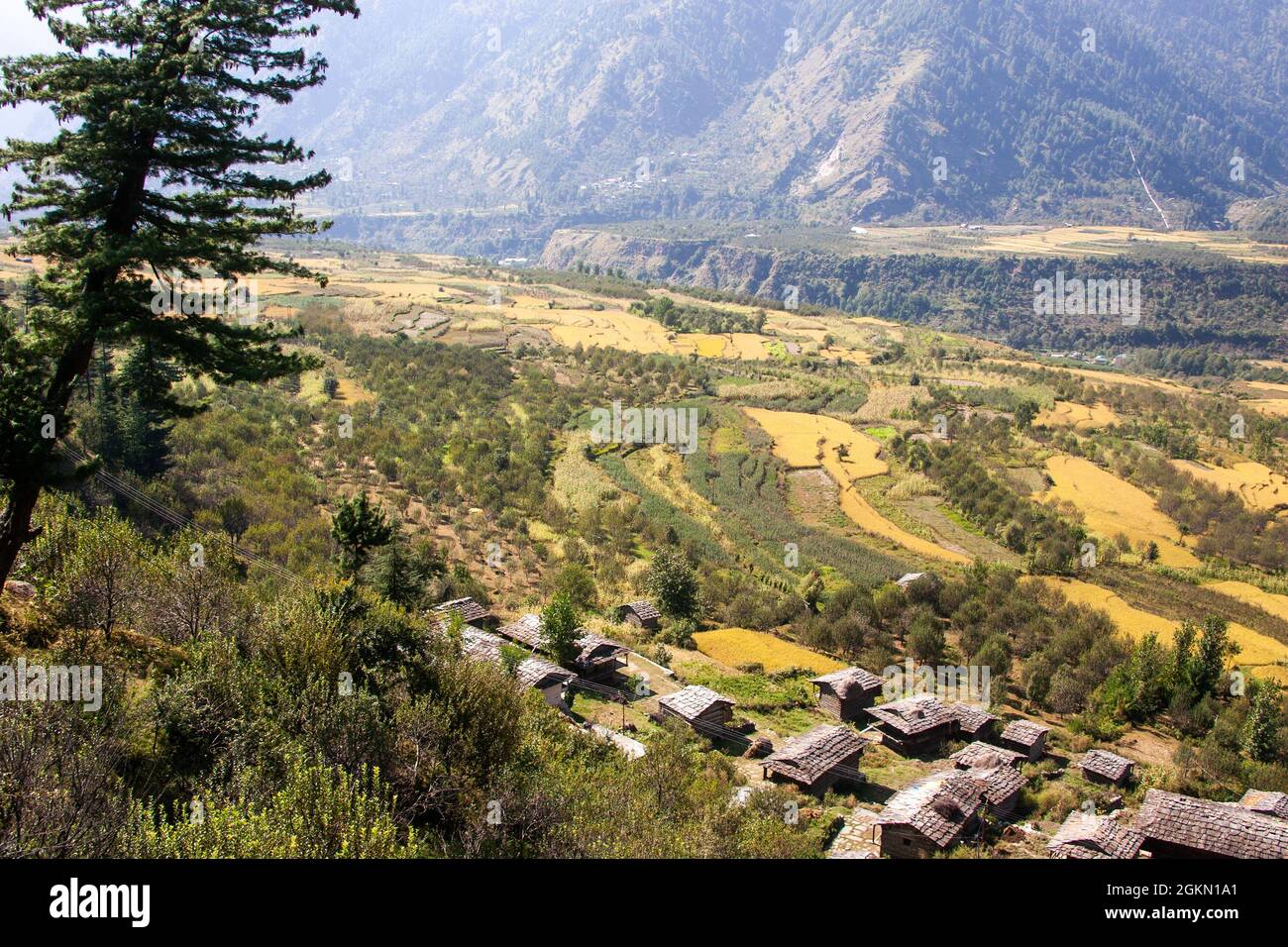 Manali Village and area landscape, Kullu Valley Himachal Pradesh, India ...