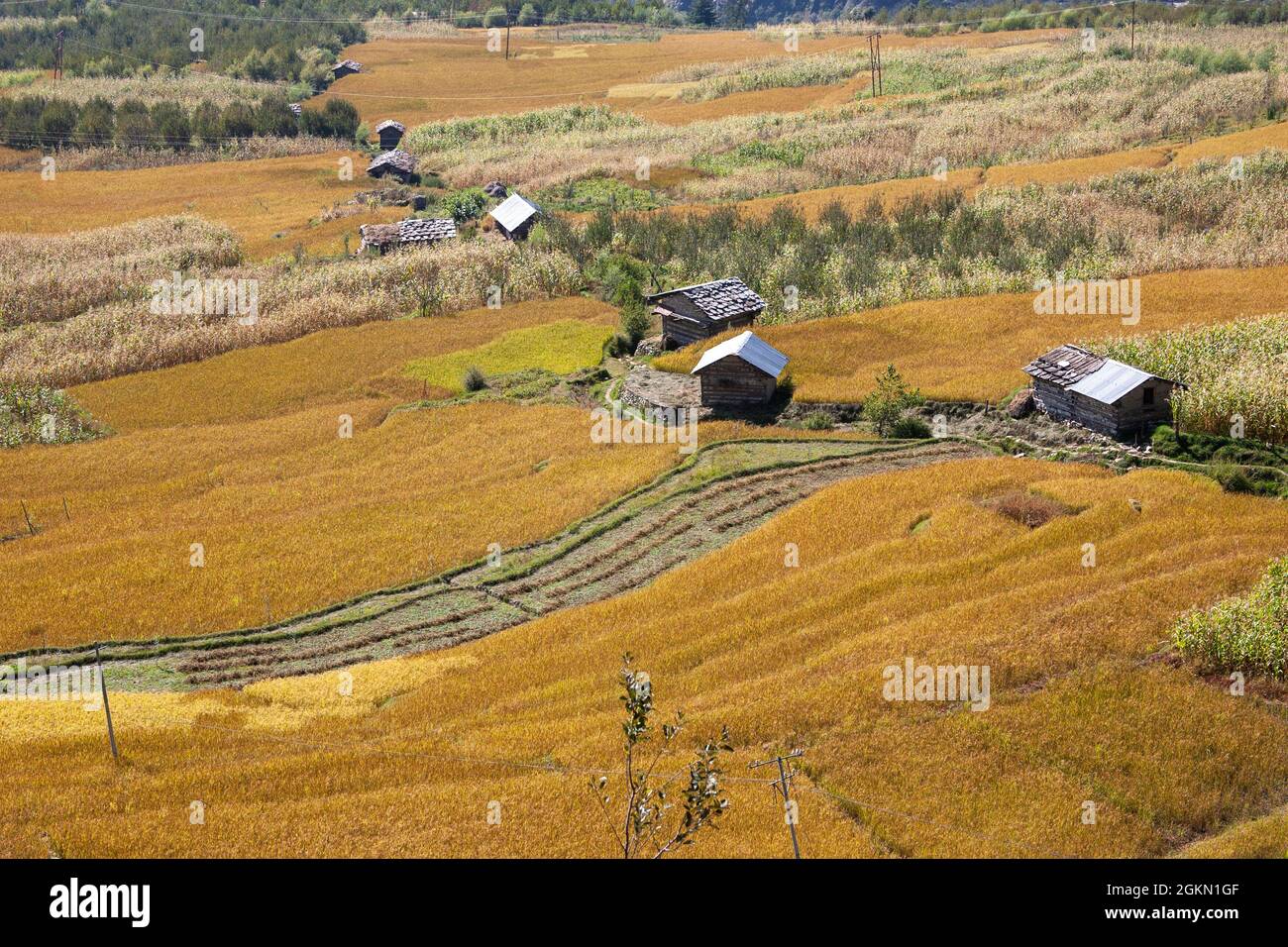 Manali Village and area landscape, Kullu Valley Himachal Pradesh, India ...