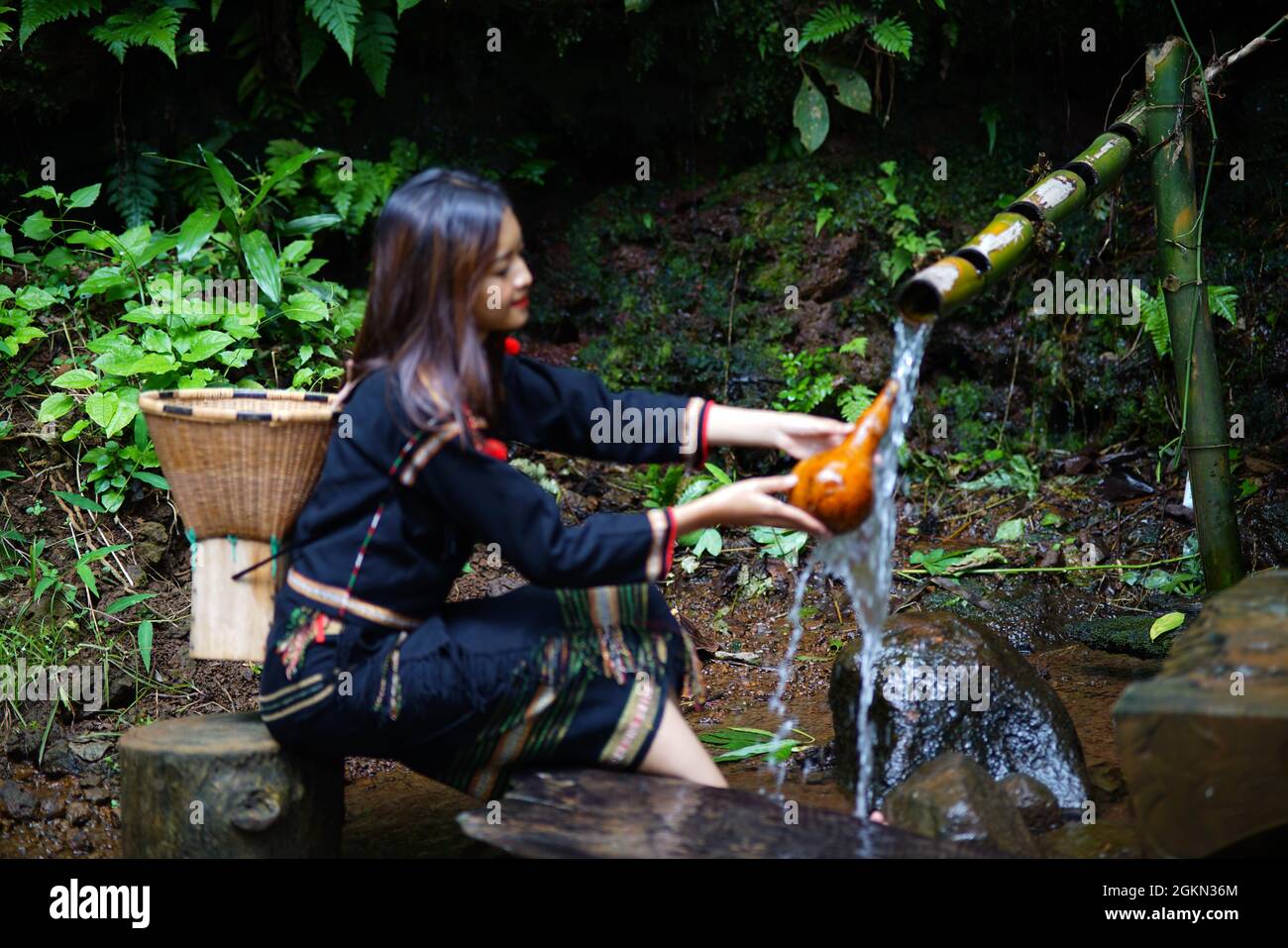 Watering place in Dak Lak province central Vietnam Stock Photo - Alamy