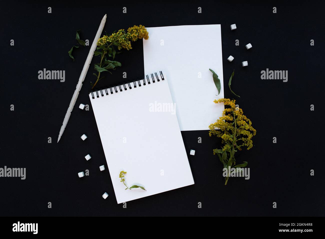 White notebook mockup template on black background with magical ...
