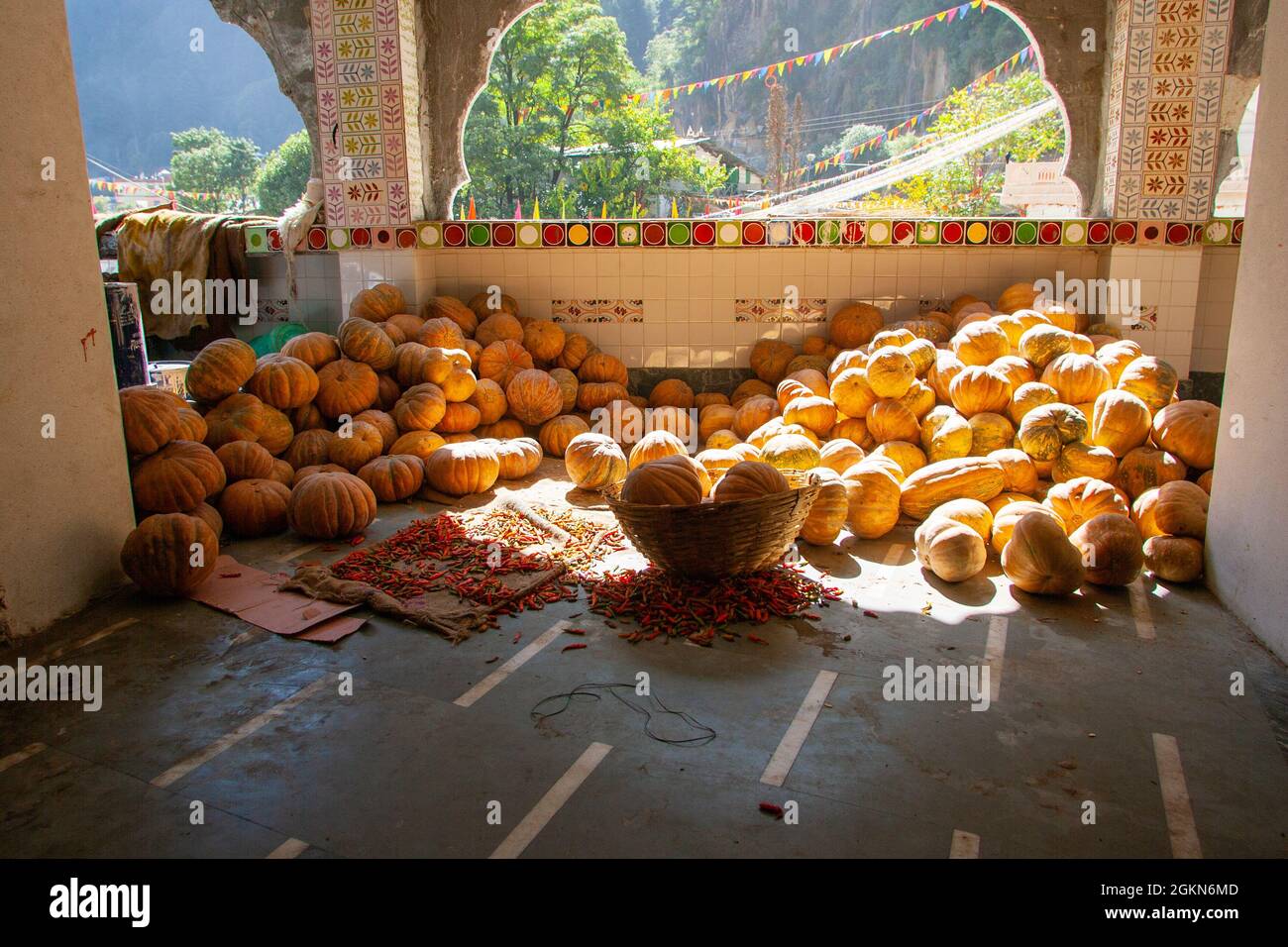 Pumpkins in the temple's kitchen to feed the pilgrims Gurudwara Sahib ...
