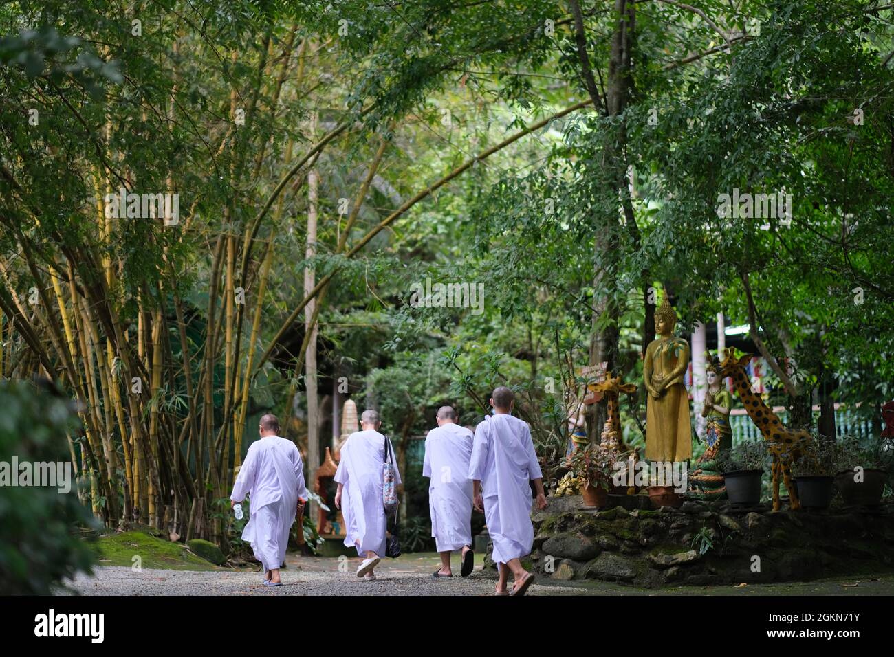 Buddhist disciples walk through tropical garden Stock Photo - Alamy