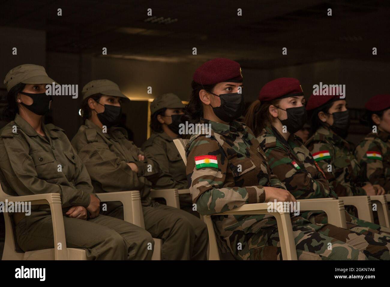U.S. Army Col. David M. Williams, Deputy of the Military Advisor Group ...