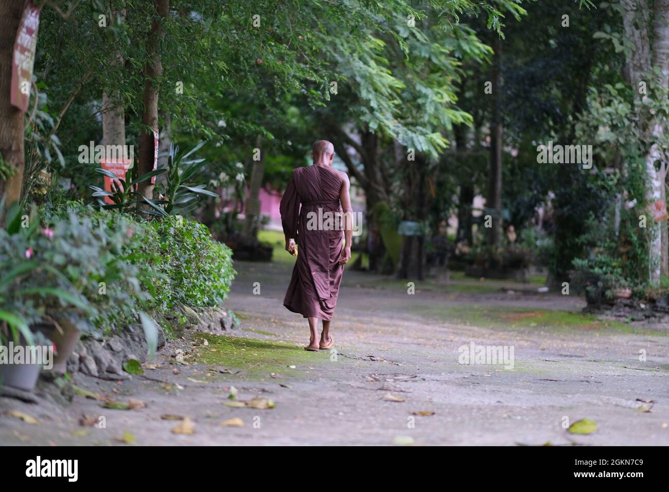 Buddhist monk walking through hi-res stock photography and images - Alamy