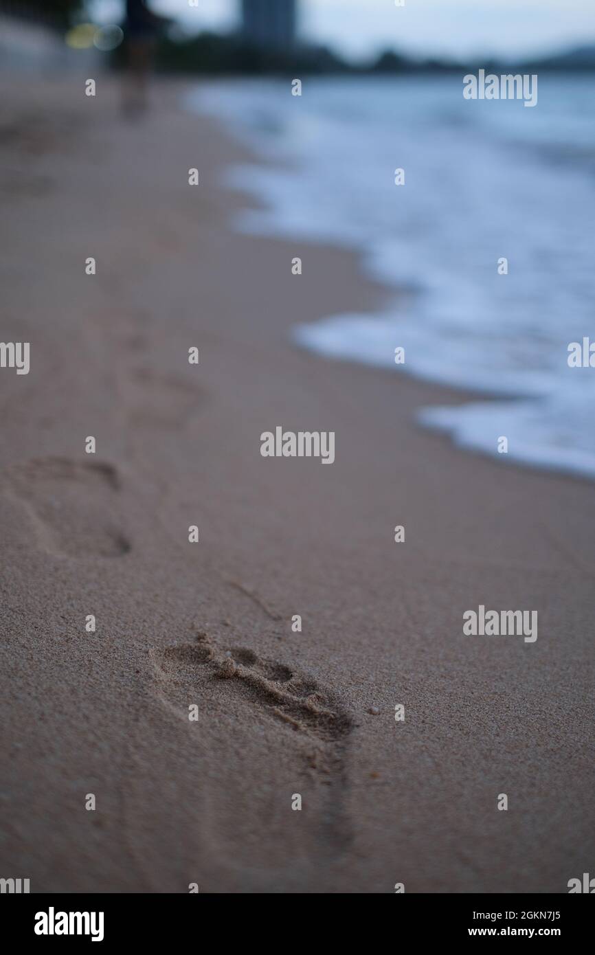 Human footprints (and the person herself) on the pristine beach Stock ...