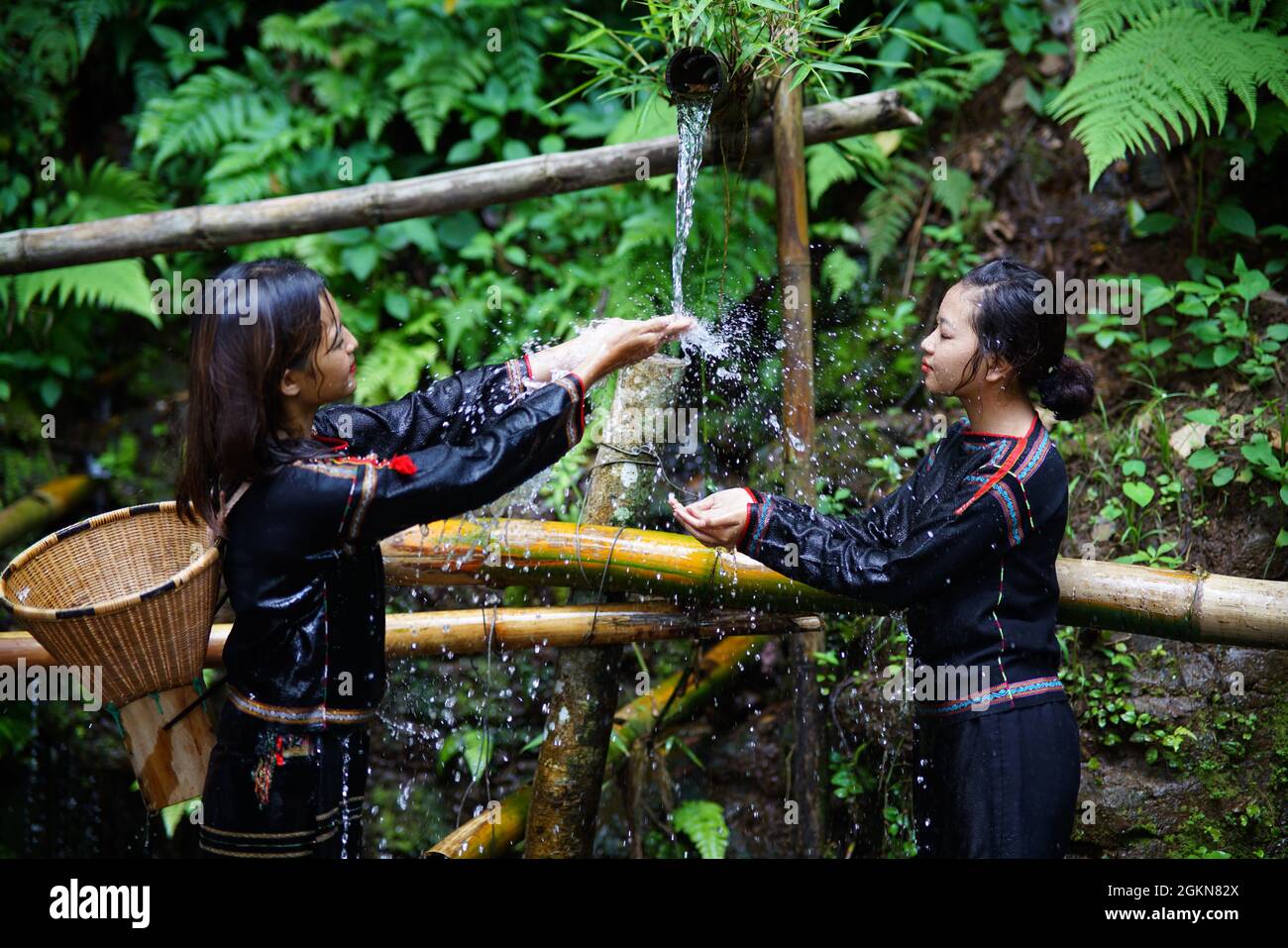 Watering place in Dak Lak province central Vietnam Stock Photo - Alamy