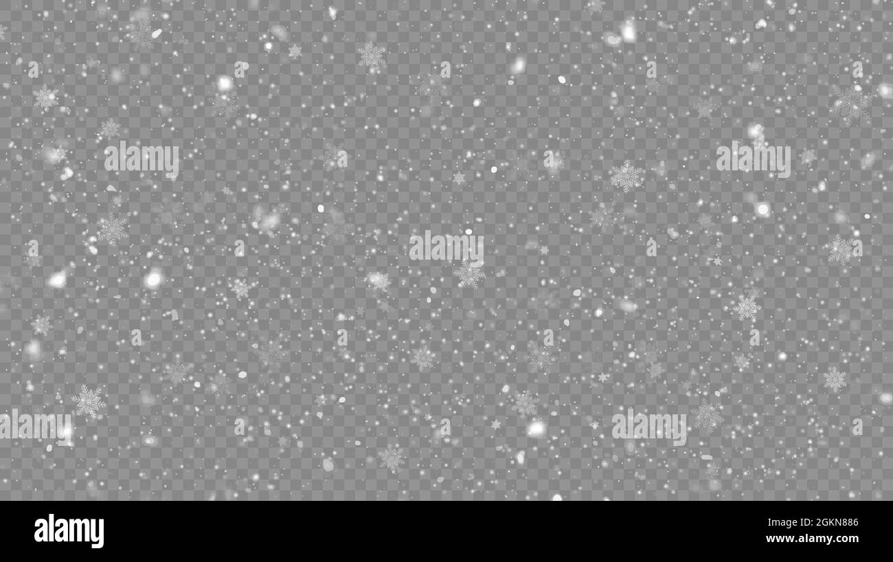 Vector snowfall isolated. Winter background. Snow overlay illustration ...