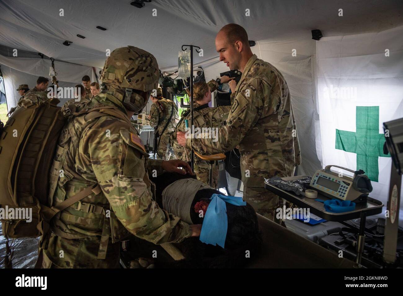 U.S. Soldiers with 557th Medical Company Area Support treat a K9 ...