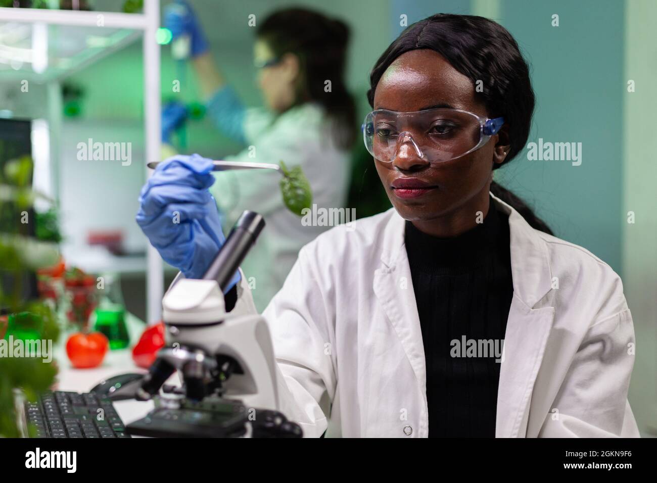 African american researcher doctor holding green leaf sample working at ...