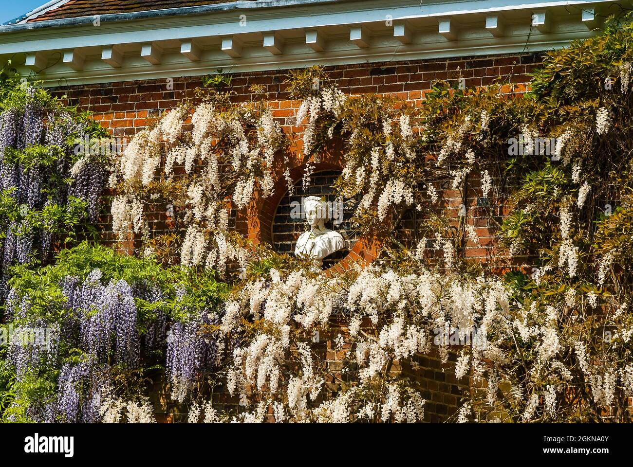 Hook in hampshire hi-res stock photography and images - Alamy