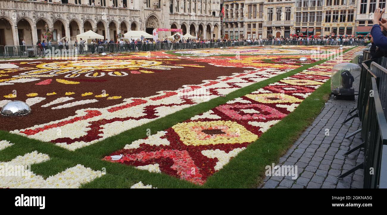 Brüssel - Grand Place - Herz und Bühne der Stadt (Blumenteppich 2018 ...