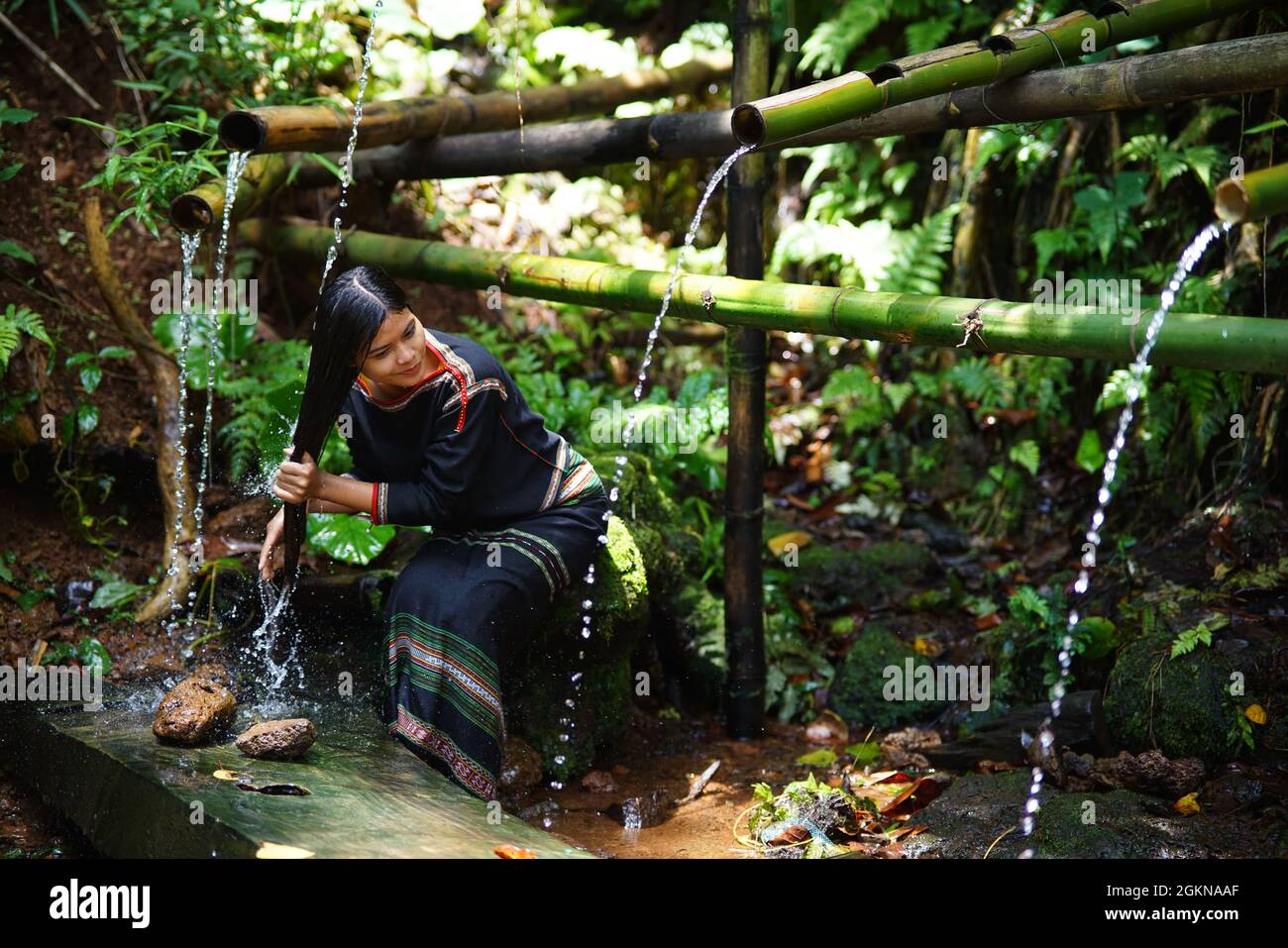 Watering place in Dak Lak province central Vietnam Stock Photo - Alamy