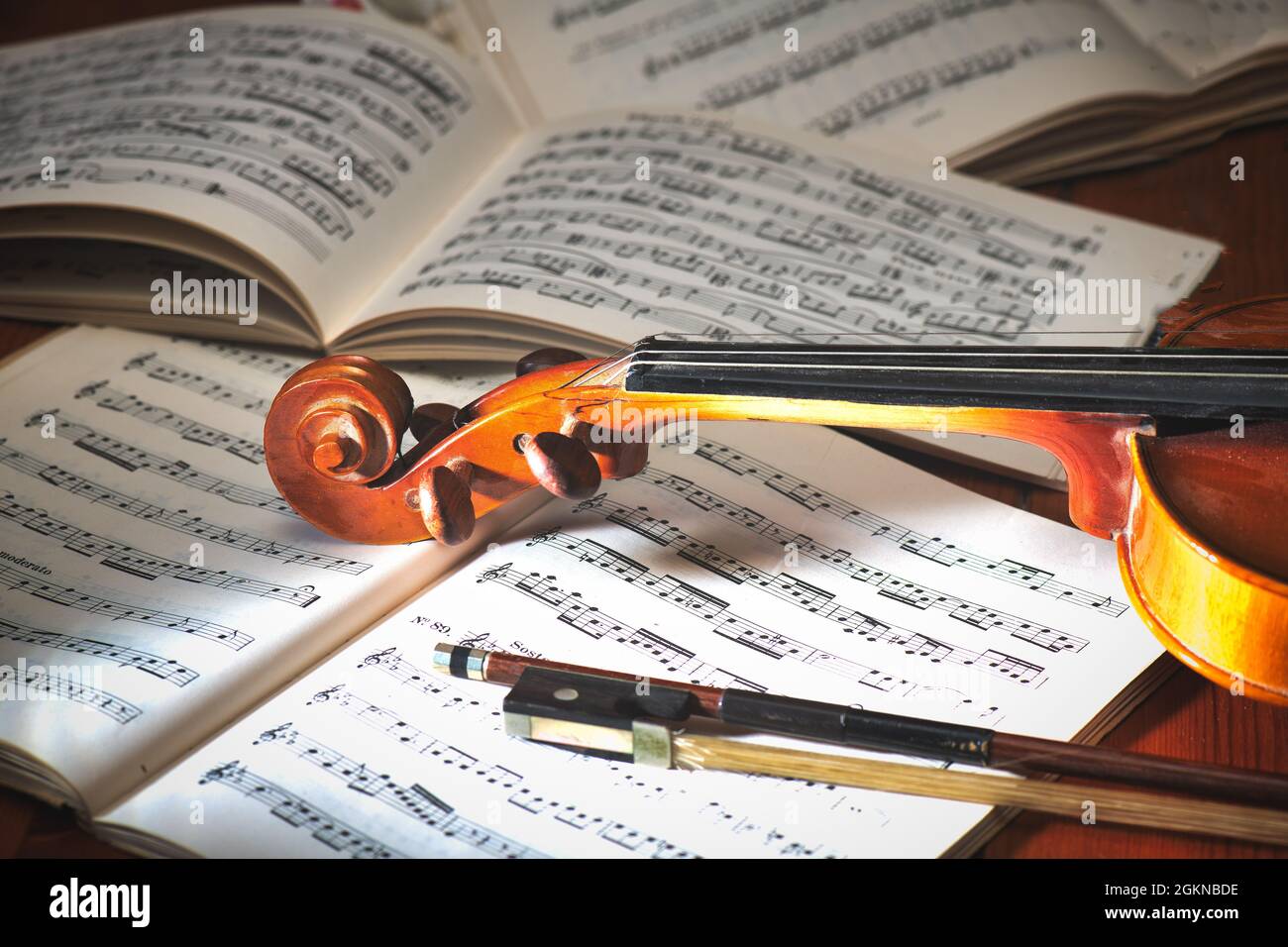 Violinist resting hi-res stock photography and images - Alamy