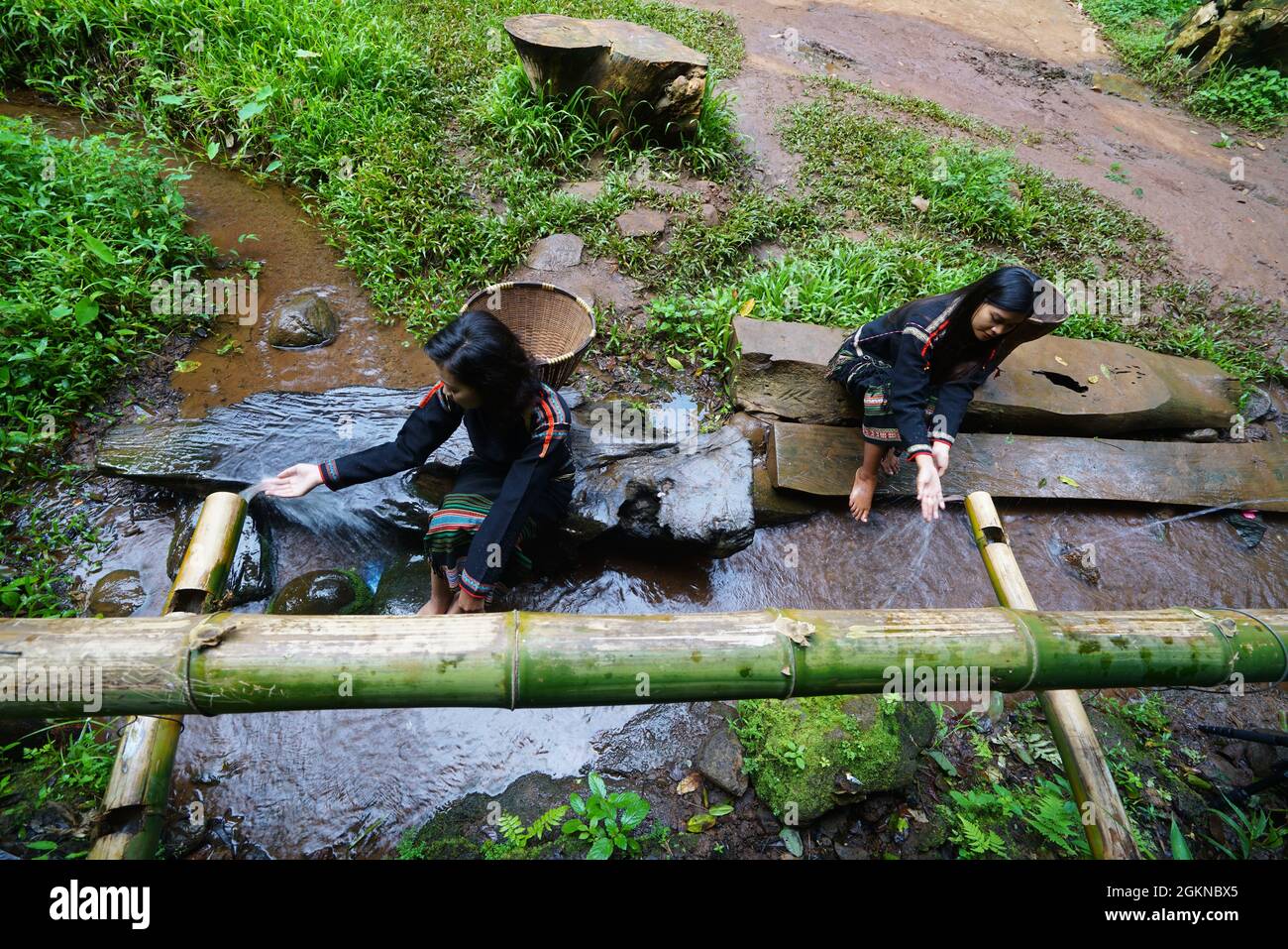 Watering place in Dak Lak province central Vietnam Stock Photo - Alamy