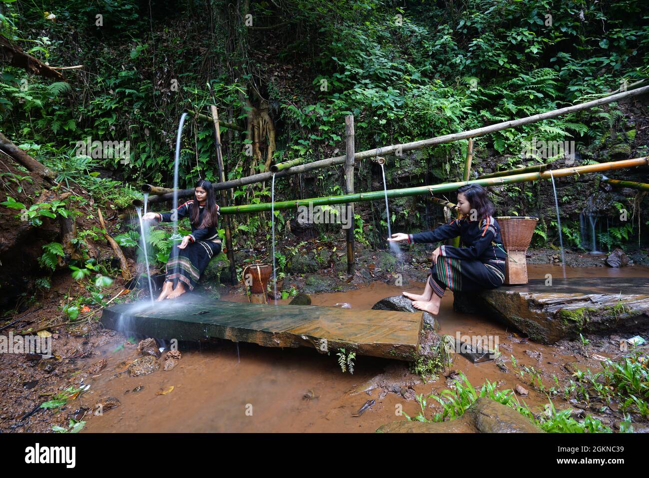 Watering place in Dak Lak province central Vietnam Stock Photo - Alamy