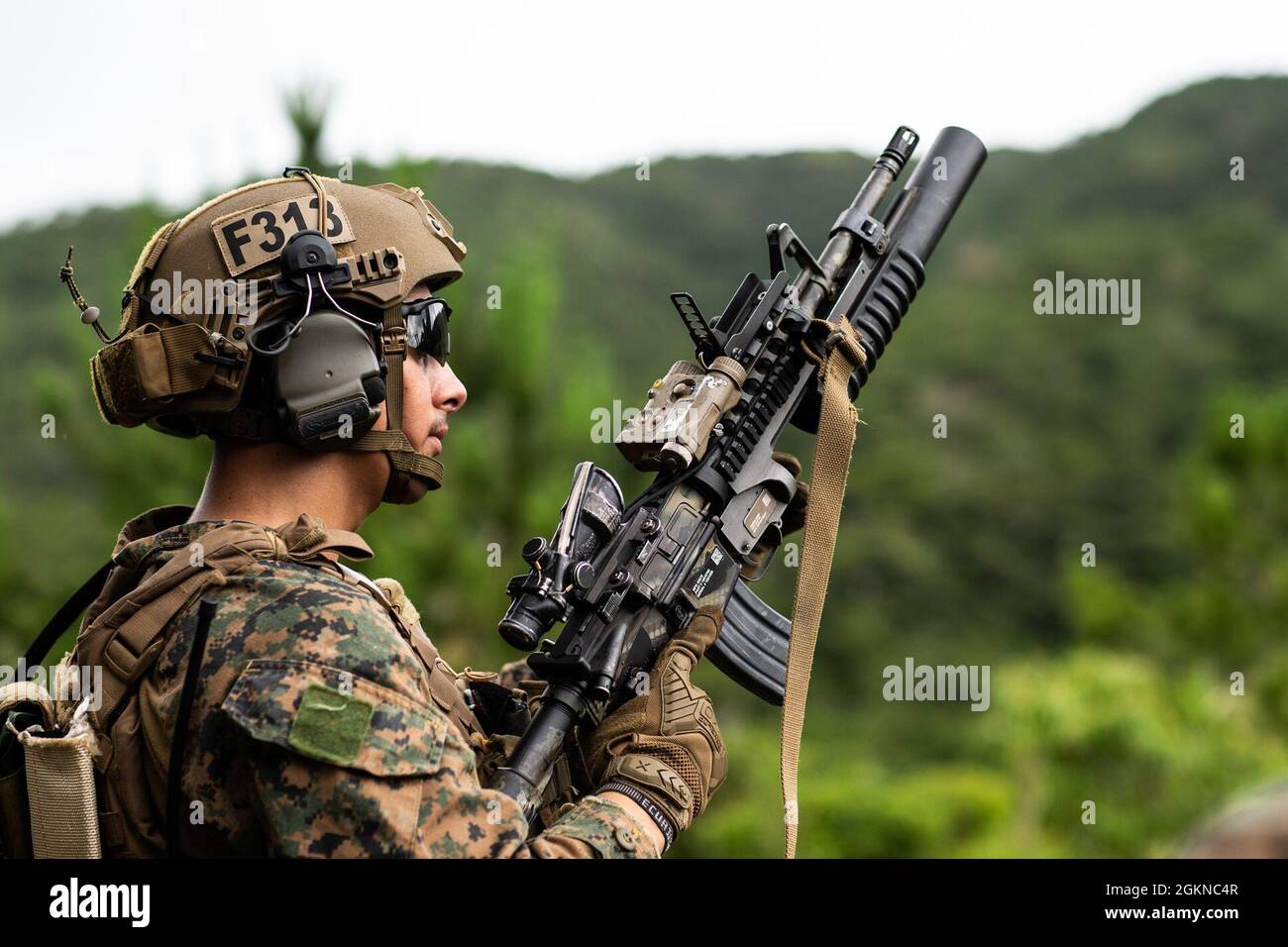 A U.S. Marine with Force Reconnaissance Platoon, 31st Marine ...