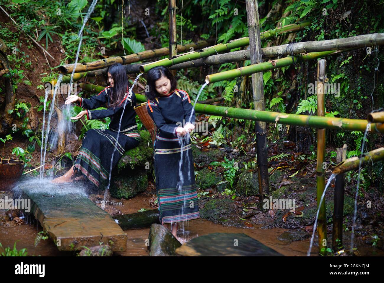 Watering place in Dak Lak province central Vietnam Stock Photo - Alamy