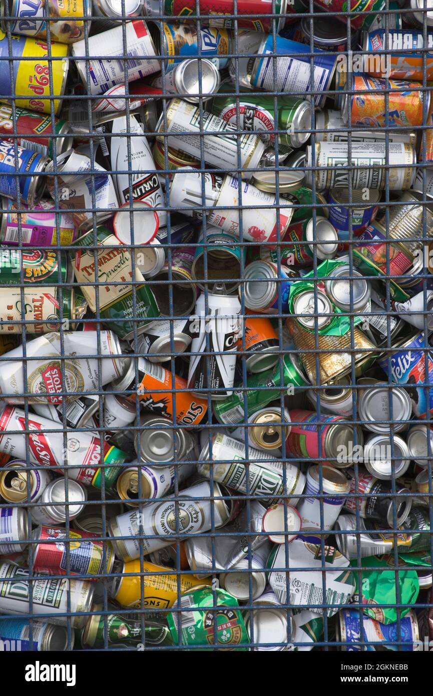 Empty cans in recycling bin Stock Photo - Alamy