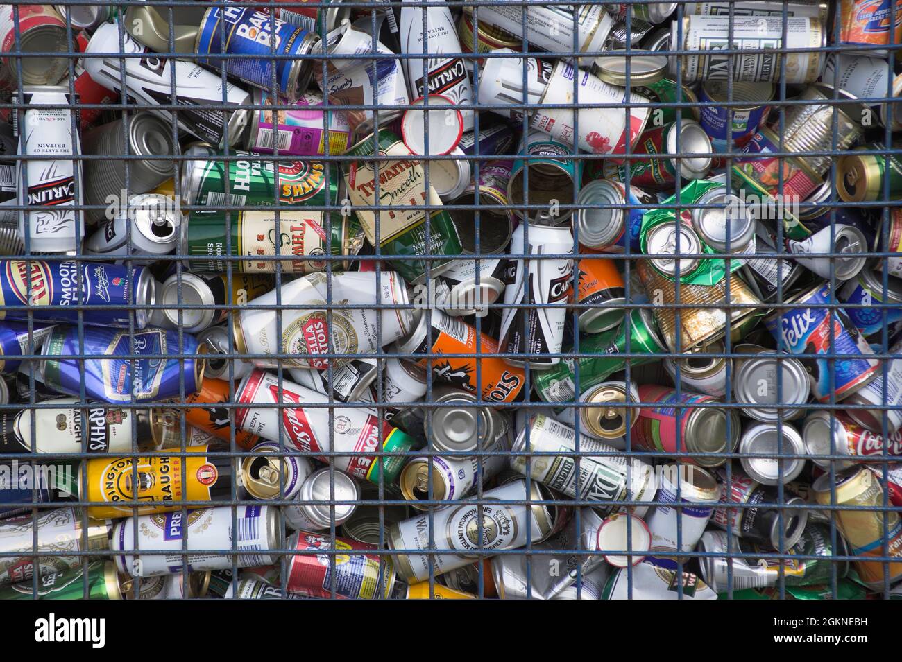 Empty cans in recycling bin Stock Photo - Alamy