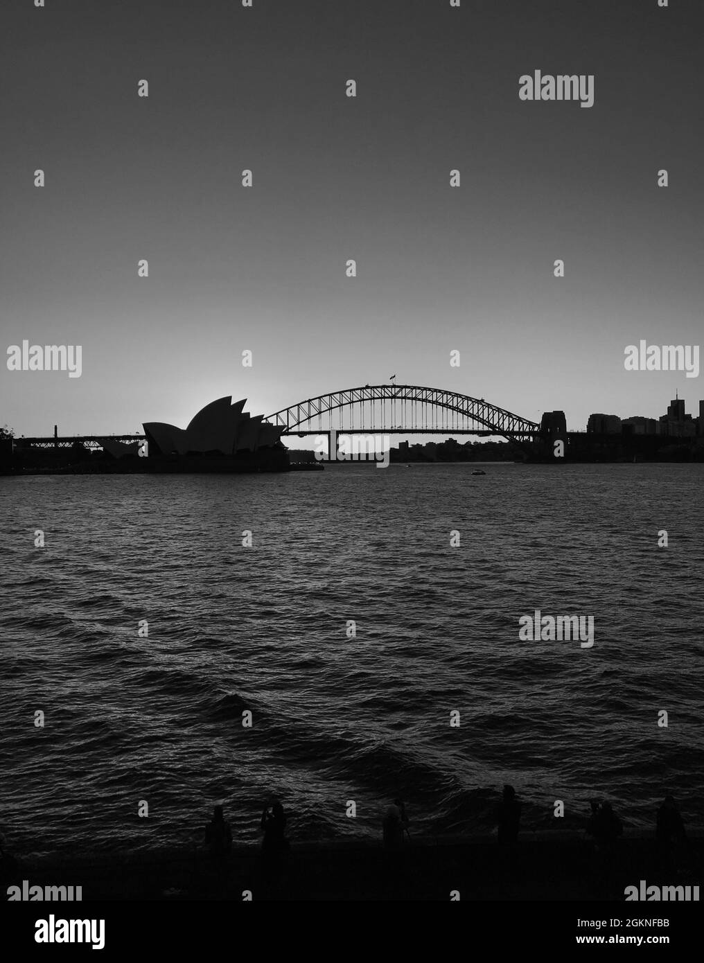 Vertical grayscale shot of Royal Botanic Gardens in Sydney, Australia ...