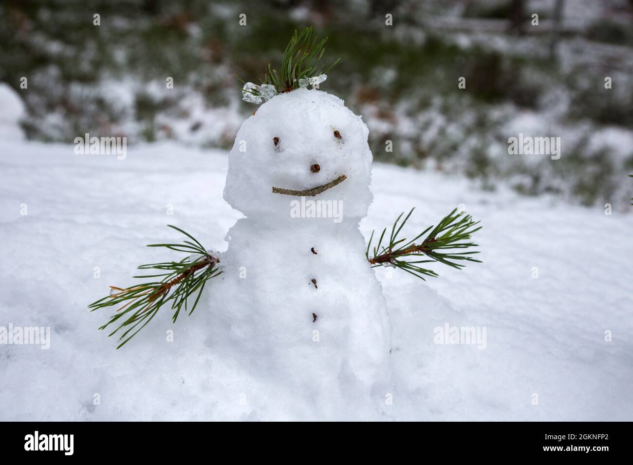 Snowman uk hi-res stock photography and images - Alamy