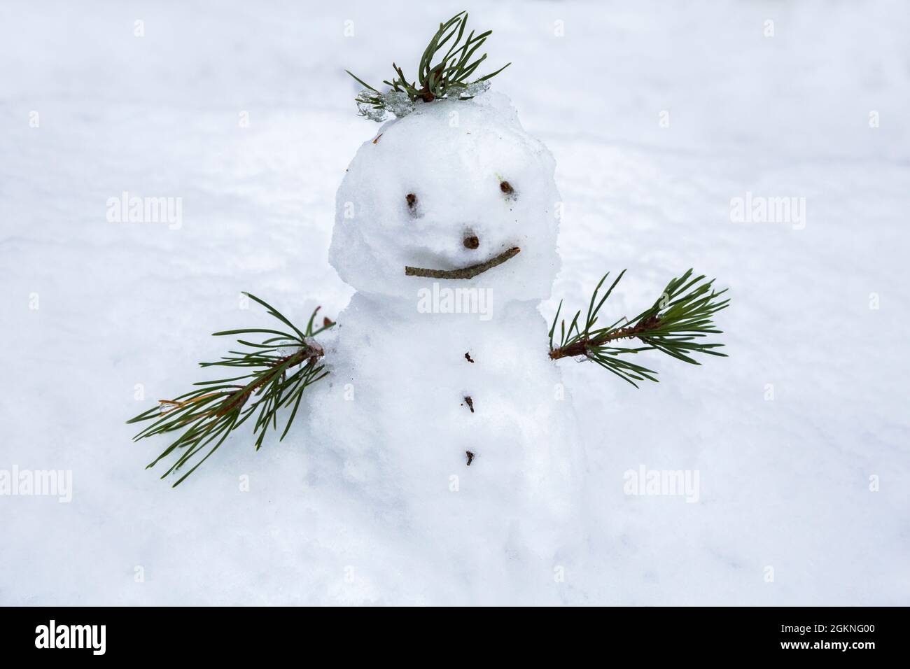 Mini snowman, Scotland, UK Stock Photo - Alamy